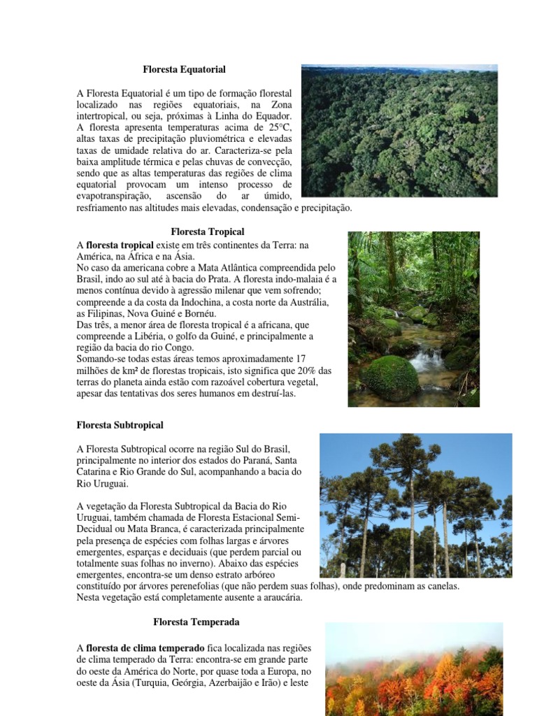 Tipos de Vegetação | PDF | Deserto | Florestas