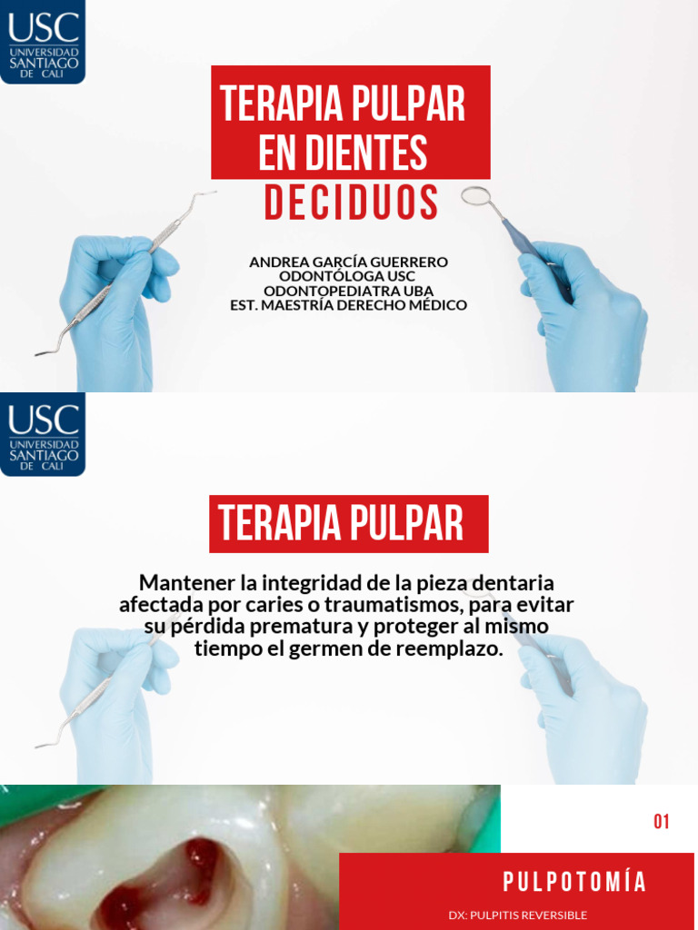Pulpo y Pulpec | PDF | Enfermedades y trastornos | Medicina CLINICA