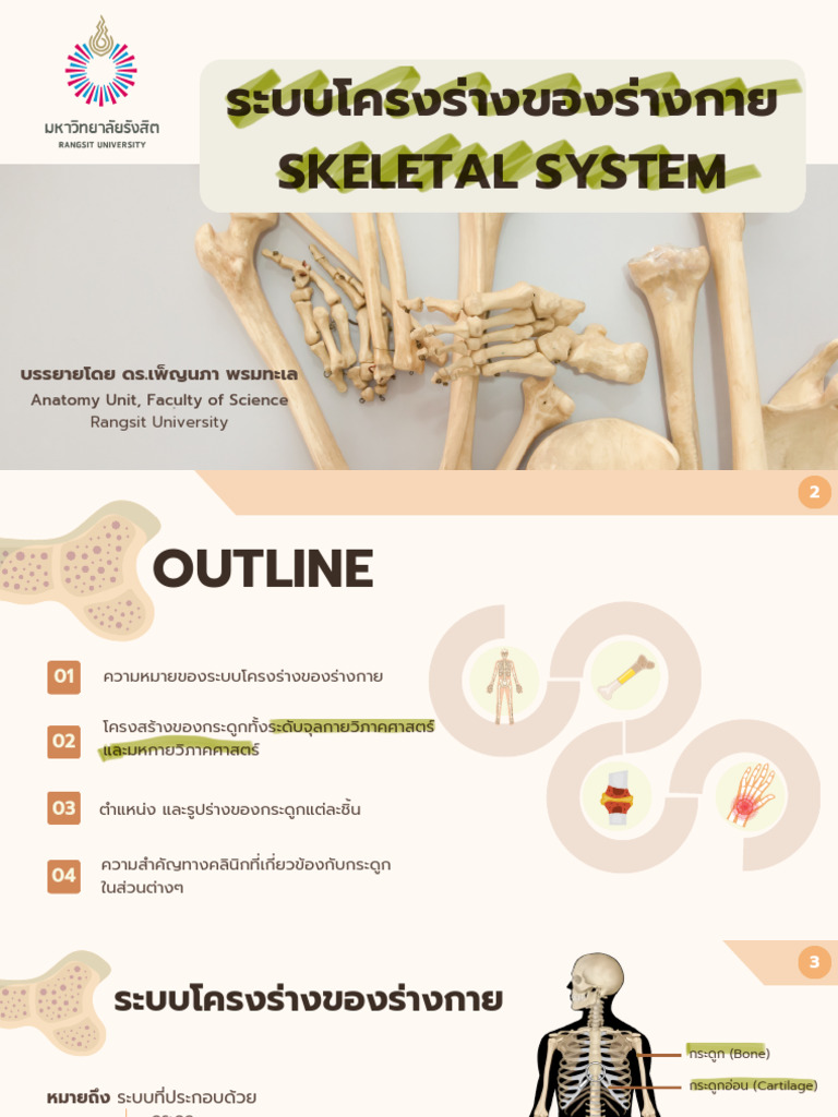 1 Skeletal System - Edited | PDF