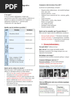 ASP Radiologie Presentation | PDF | Radiographie | Spécialités médicales