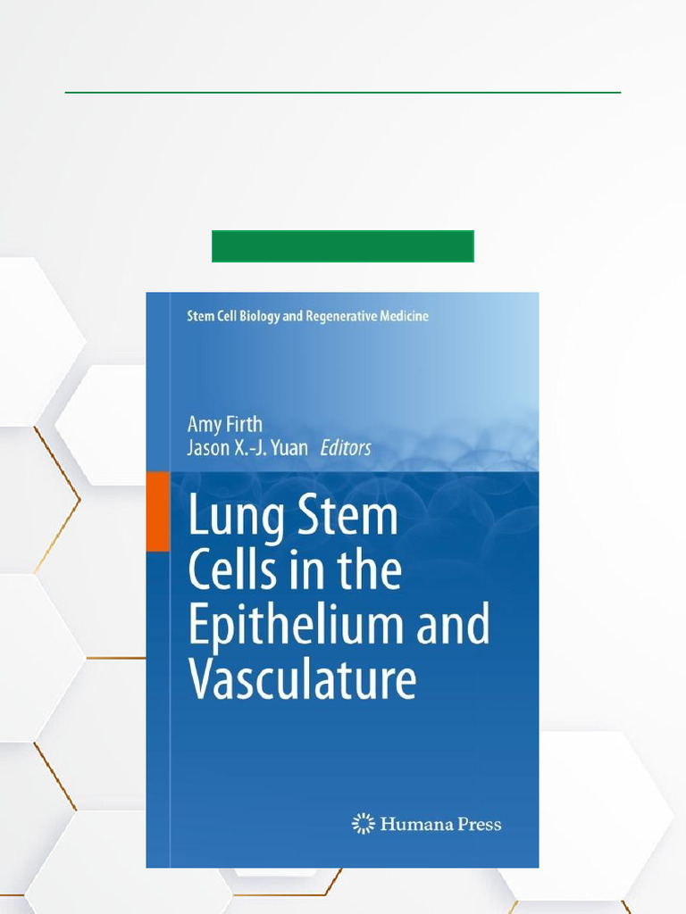 Lung Stem Cells in The Epithelium and Vasculature Full Text Download | PDF | Respiratory Tract ...