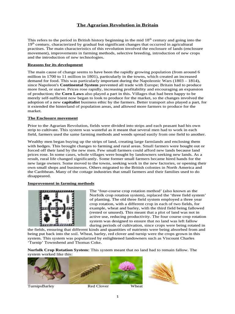 The Agrarian Revolution in Britain Handout | PDF | Crop Rotation | Plough