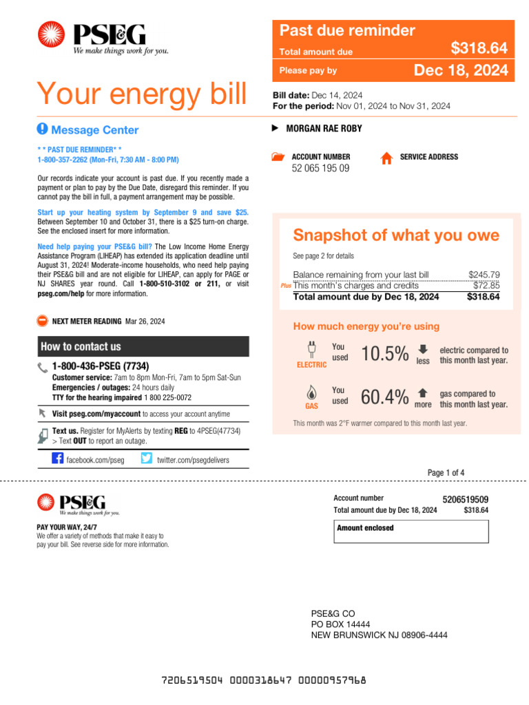 Pesg - Pseg Elec Amp Gas Bill | PDF | Gases