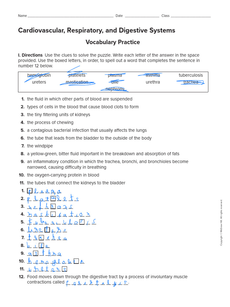 GH22+15.0+Vocabulary+Practice 1 | PDF | Respiratory System | Blood