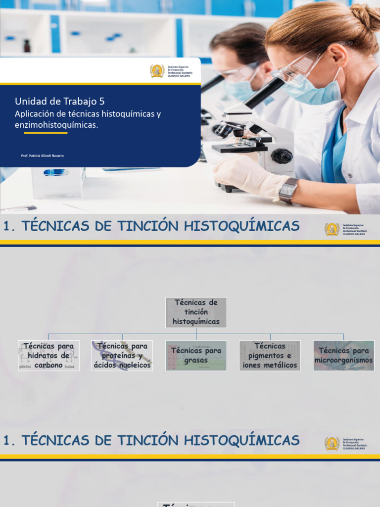 Azul de Toluidina | PDF | Biología Celular | Anatomía