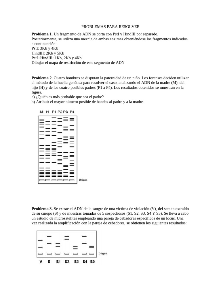 Problemas Enzimas de Restriccion | PDF