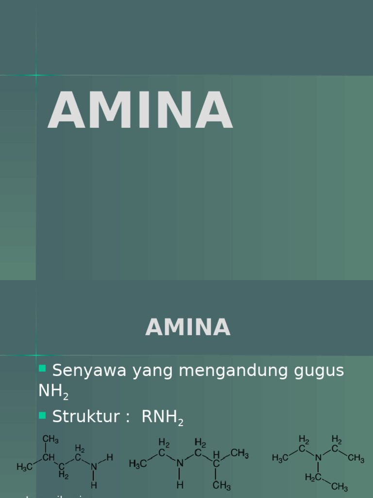 Kimia Dasar 2 - Amina | PDF