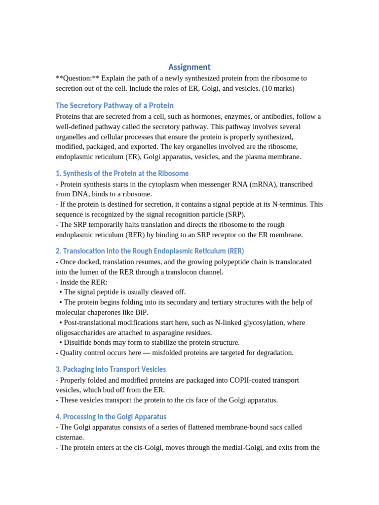Secreted Protein Pathway Full Marks Assignment | PDF | Endoplasmic ...