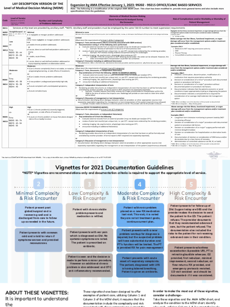 2023 NAMAS MDM Chart Office | PDF | Health Care | Medicine