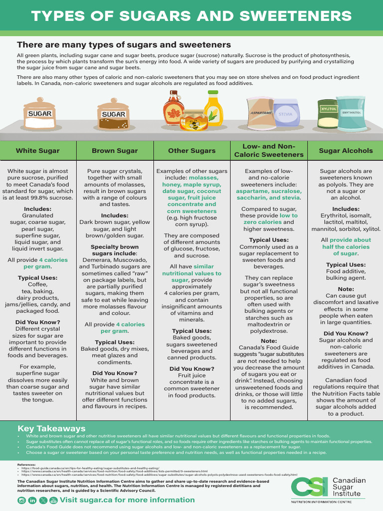 Types of Sugars and Sweeteners Explained | PDF | Sugar Substitute | Sugar
