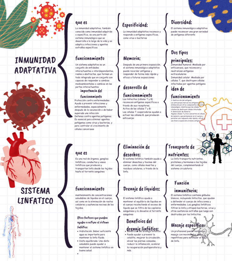 Gráfica Cuadro Sinóptico Collage Azul y Amarillo | PDF | Sistema inmune | Sistema linfático