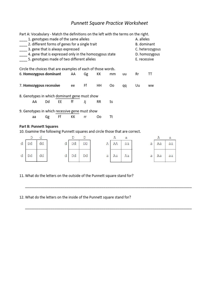 Genetics Vocabulary and Punnett Squares | PDF | Dominance (Genetics ...