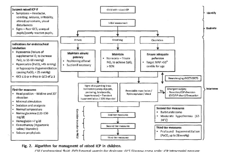 Raised Icp Algorithm | PDF