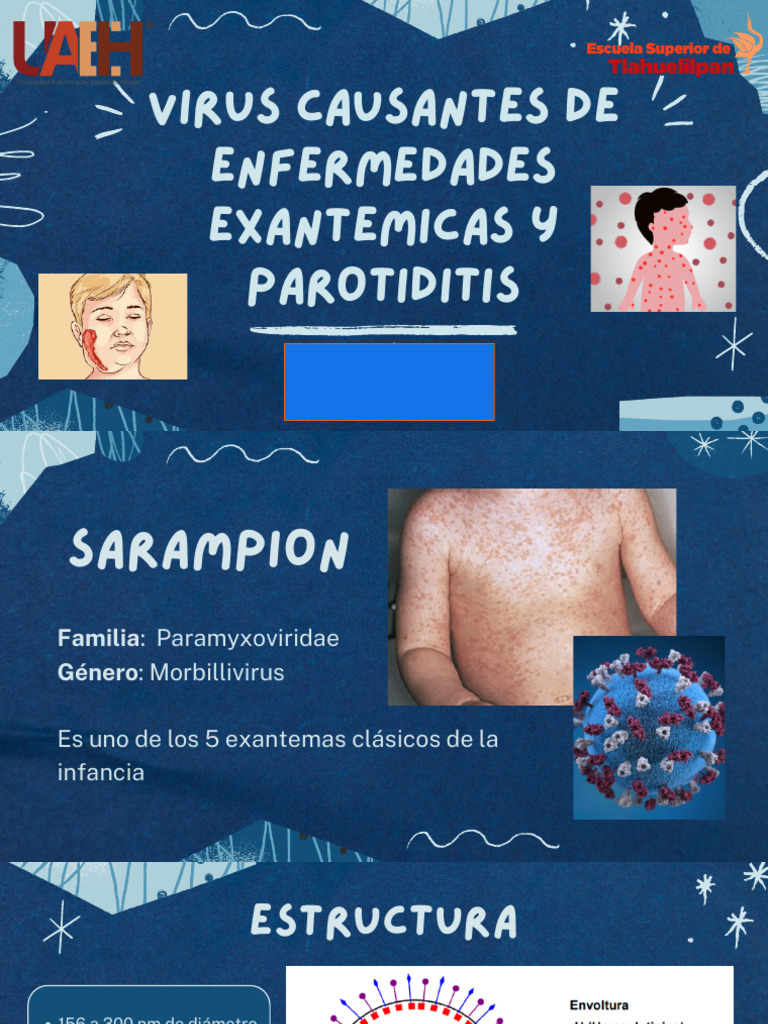Virus de sarampión, rubéola y parotiditis | PDF | Sarampión | Virus