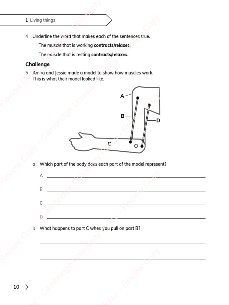 P Science 4 Workbook Pdf Free 16 Pdf