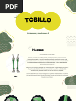 Anatomía del Maléolo Tibial y Astrágalo | PDF | Tobillo | Anatomía del ...