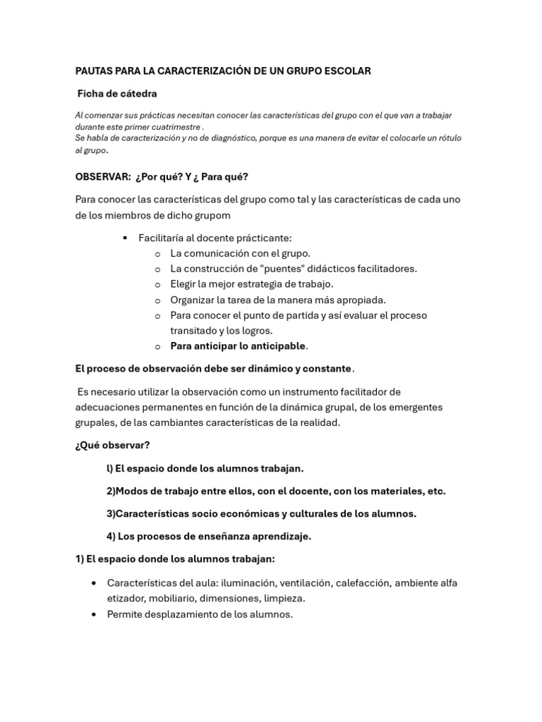 pautas para la escritura de la caracterización | PDF | Enseñando ...