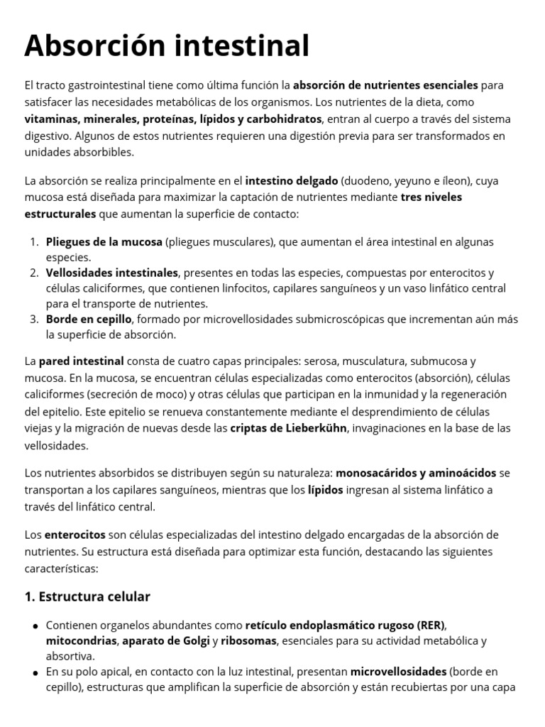 Absorción Intestinal | PDF | Digestión | Tracto gastrointestinal