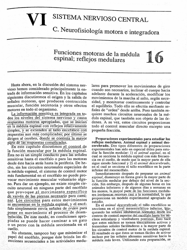 Funciones Motoras Guyton | PDF
