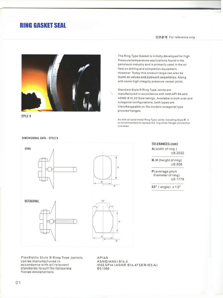 Steel Ring Gasket | PDF