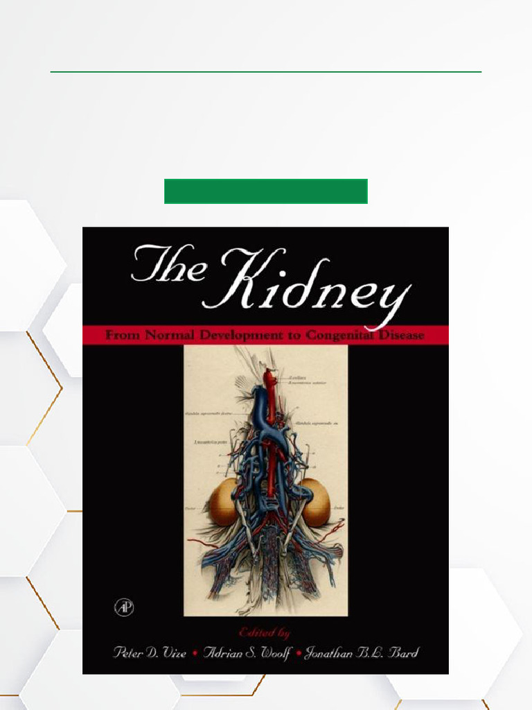The Kidney From Normal Development to Congenital Disease All-in-One ...