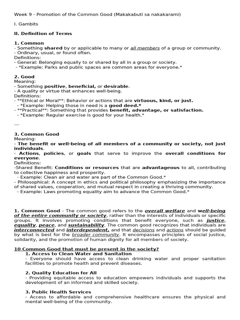 Promoting the Common Good in Society | PDF | Common Good | Conflict ...