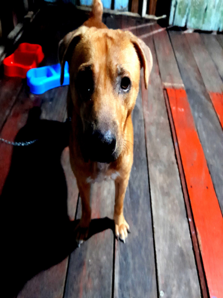 PDFReader 20250522 2229 | PDF