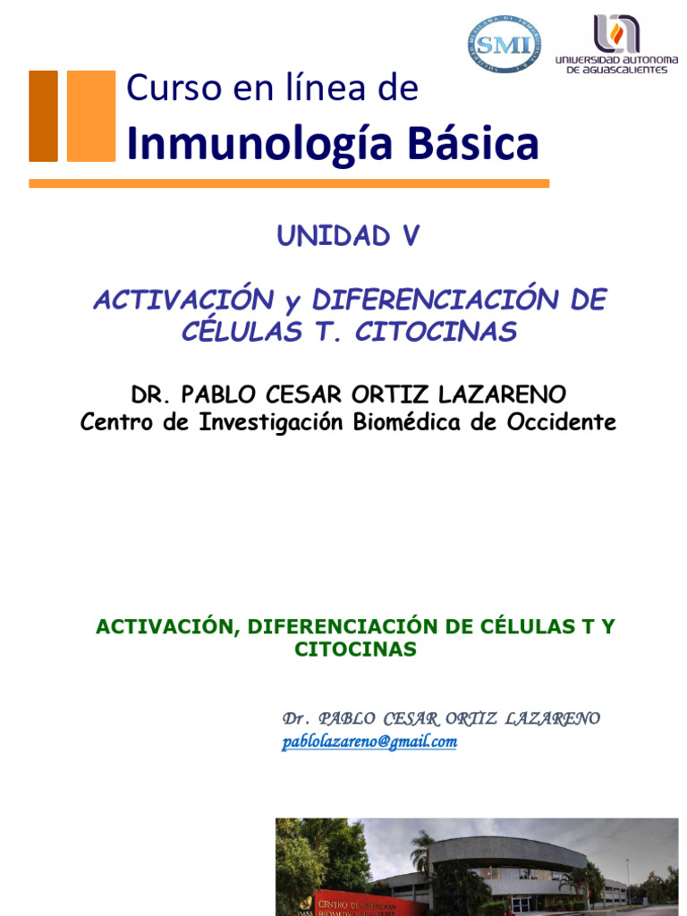 ACTIVACIÓN, DIFERENCIACIÓN DE CÉLULAS T Y CITOCINAS PABLO-2022 | PDF | Célula T | Sistema inmune