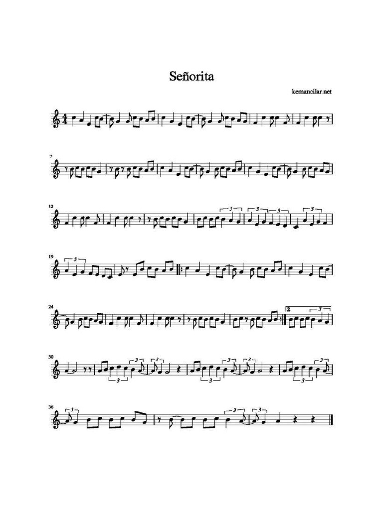Partitura PDF Señorita Violín | PDF