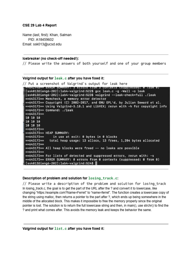 CSE 29 SP25 Lab 4 Report Template | PDF