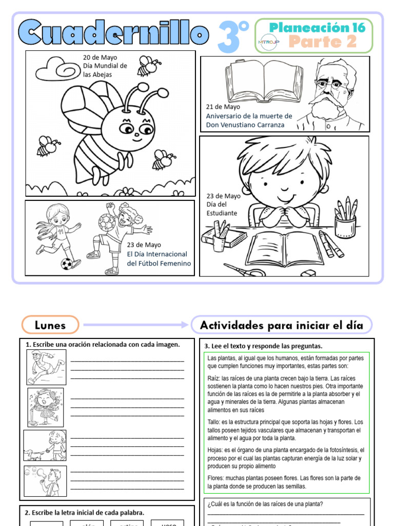 Cuad Parte 2 3° | PDF | Raíz | Plantas