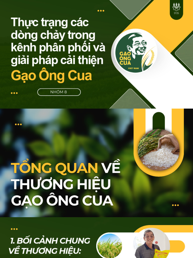 G o St25 Ông Cua | PDF
