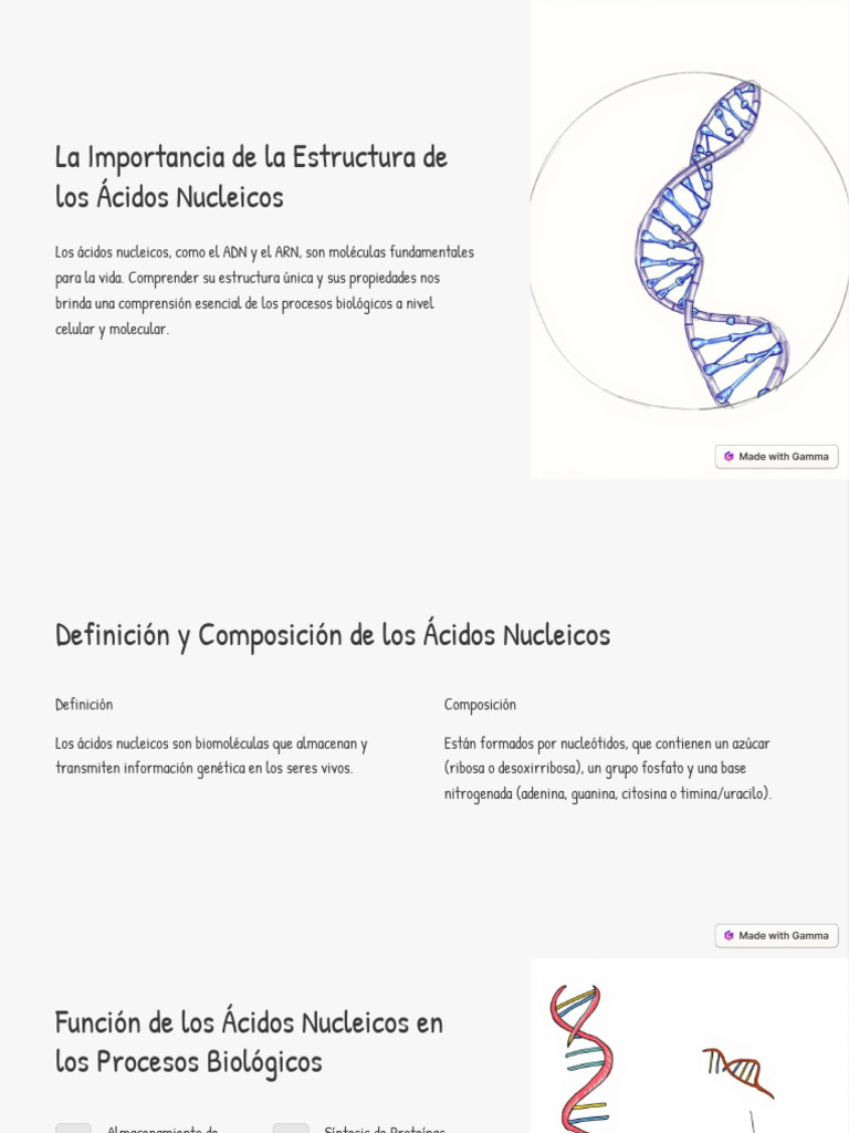 La Importancia de La Estructura de Los Acidos Nucleicos | PDF