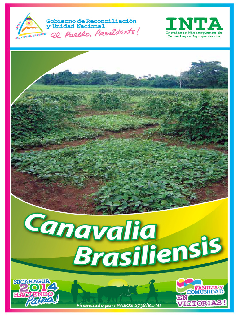 Canavalia brasiliensis: Cultivo y Usos | PDF | Pasto | Fertilizante