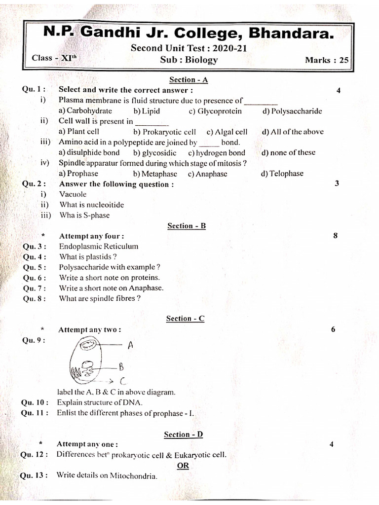 Biology Paper 6 Apr 2021 | PDF