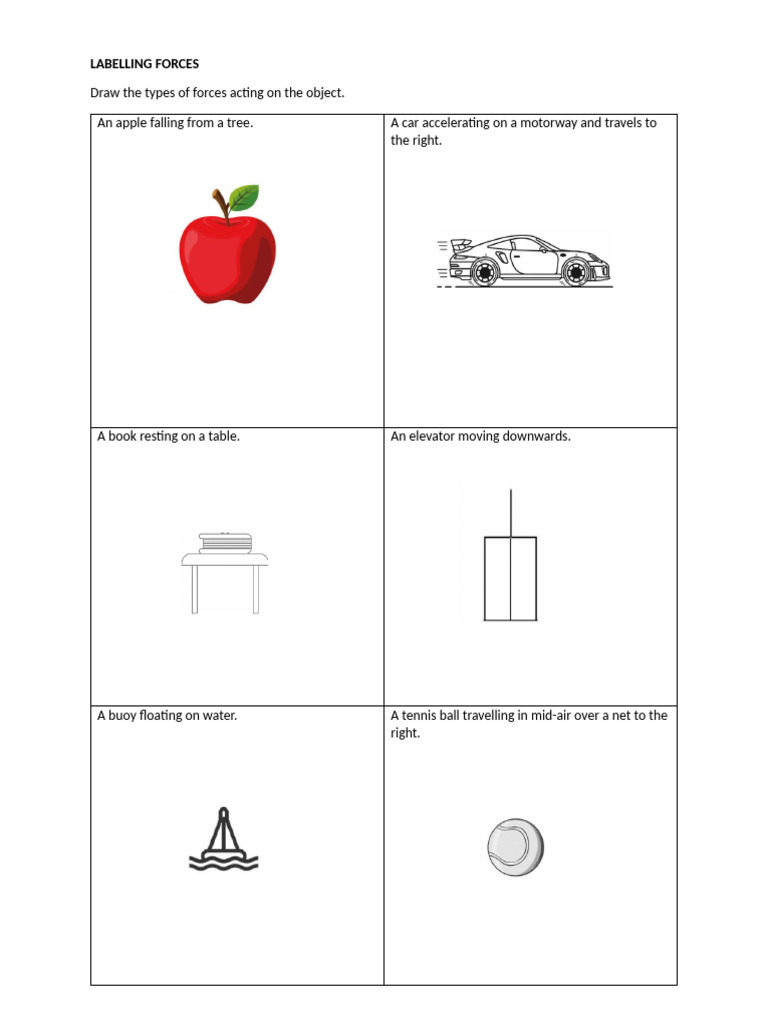 LABELLING FORCES | PDF