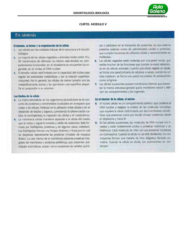 Curtis Modulo 5 | PDF