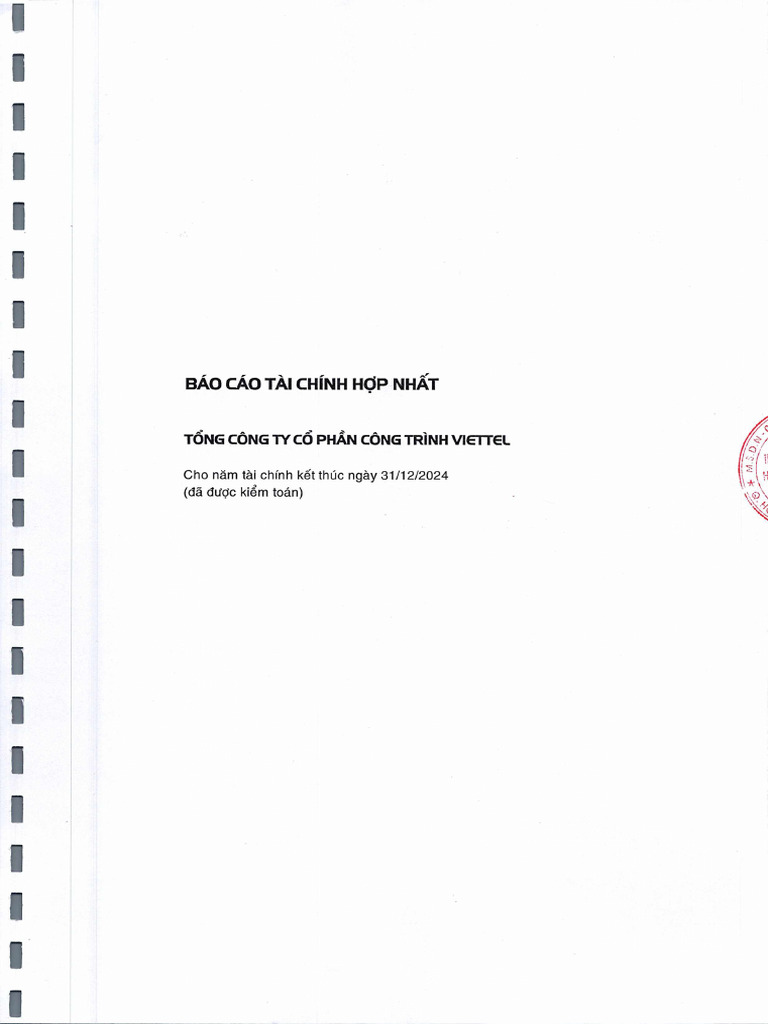 BCTC Hop Nhat 2024 Kem Giai Trinh TV TA | PDF