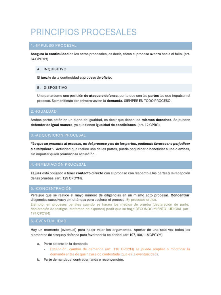 Resumen - Principios Procesales | PDF | Ley procesal | Justicia
