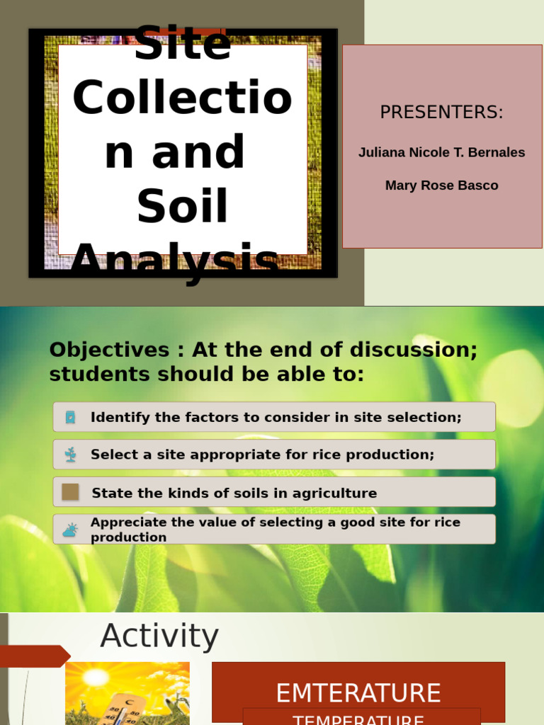 Optimal Site Selection for Rice Production | PDF | Rice | Soil