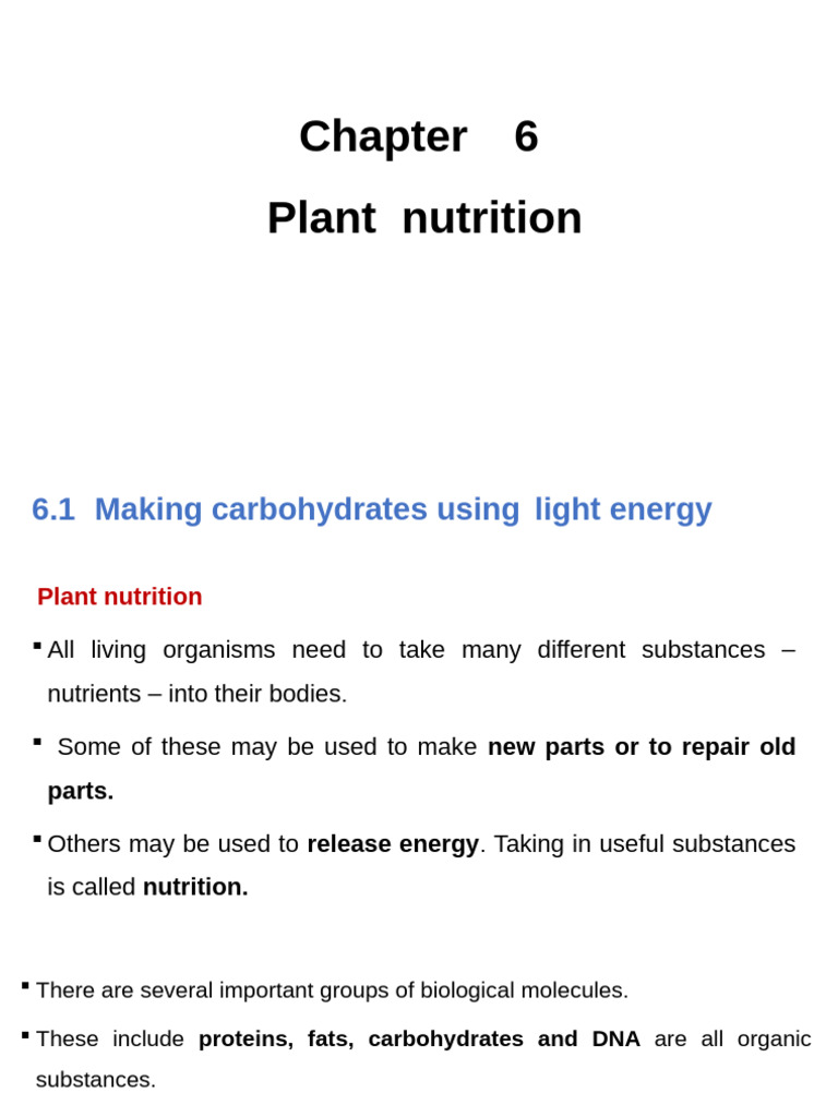 Chapter 6 Plant Nutrition | PDF | Leaf | Stoma