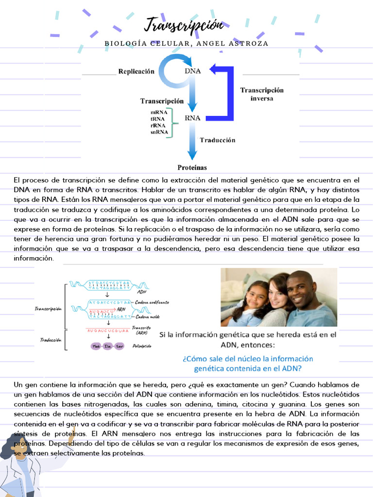 Transcripción Del ADN | PDF | Rna | Adn