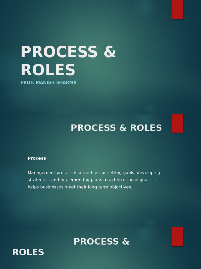 Process & Roles | PDF