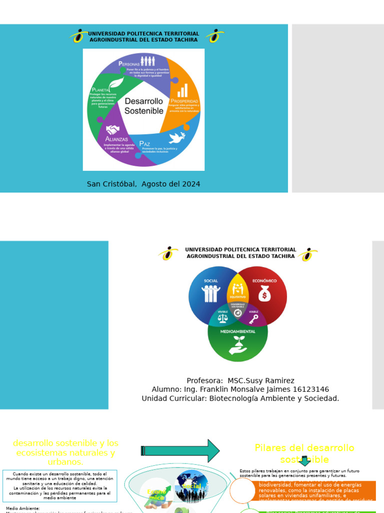 Desarrollo Sostenible | PDF | Sustentabilidad | Desarrollo sostenible
