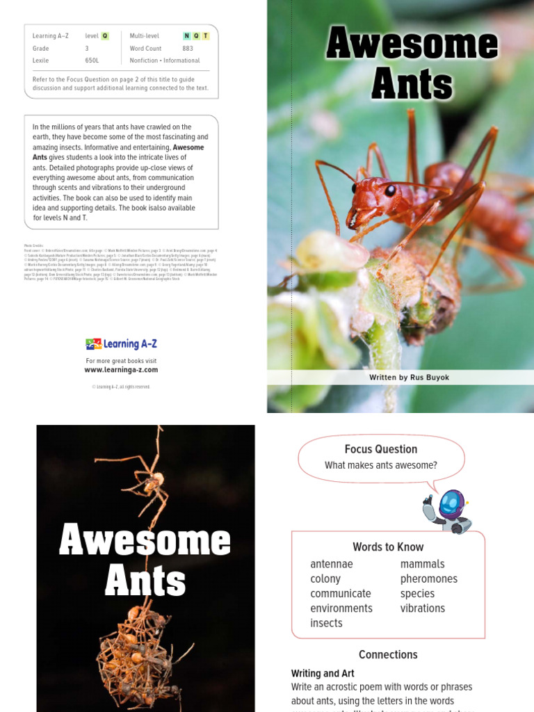 Awesome Ants - Raz-Plus Q | PDF | Ant | Insects