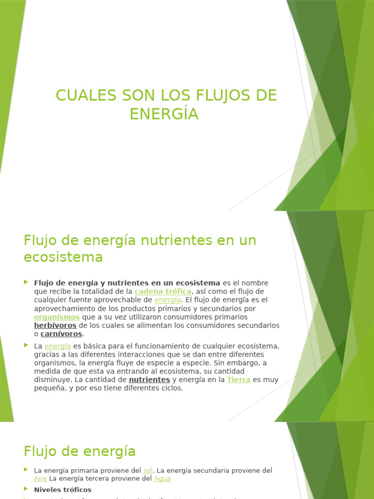 Cuales Son Los Flujos de Energía | PDF | Red alimentaria | Ecosistema