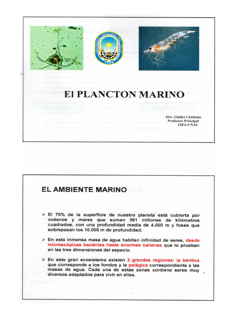 El Plancton Marino | PDF