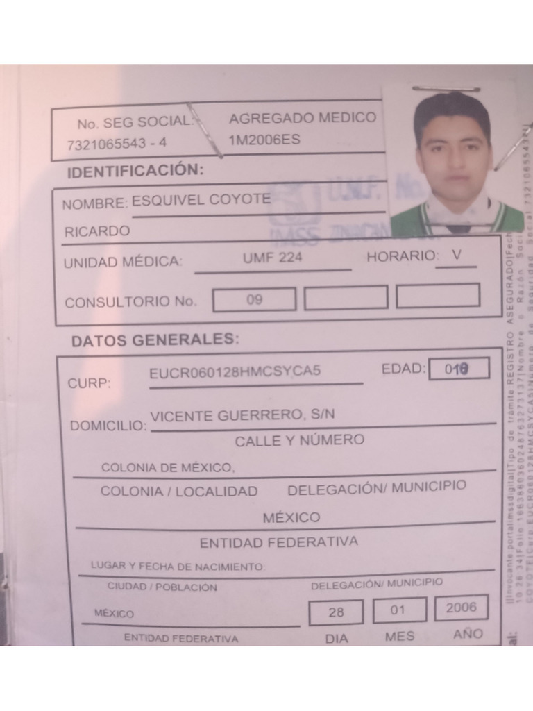 IMSS | PDF