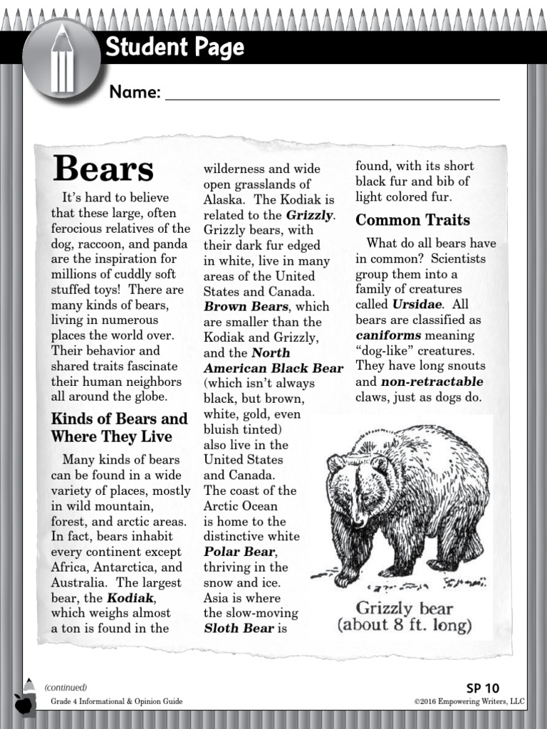Bear Informational Expository Writing Reading | PDF | Bears | Grizzly Bear