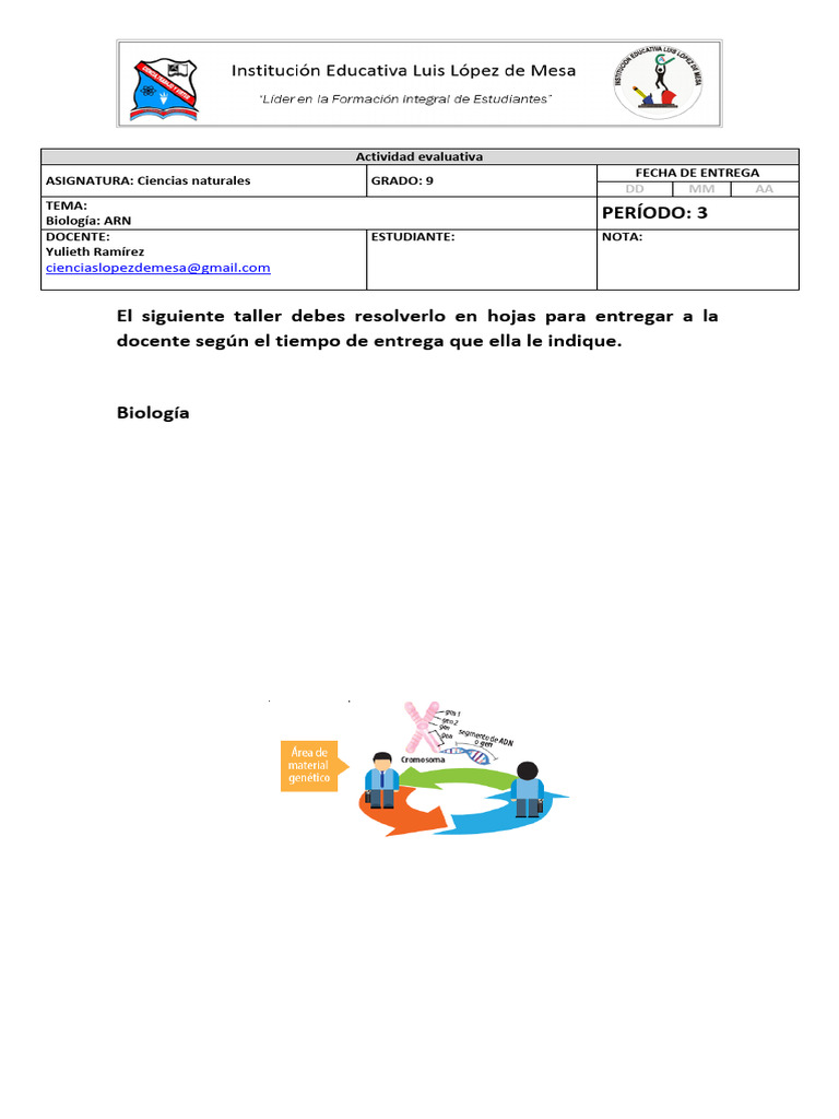 Funciones del ARN en la célula | PDF | Rna | Adn